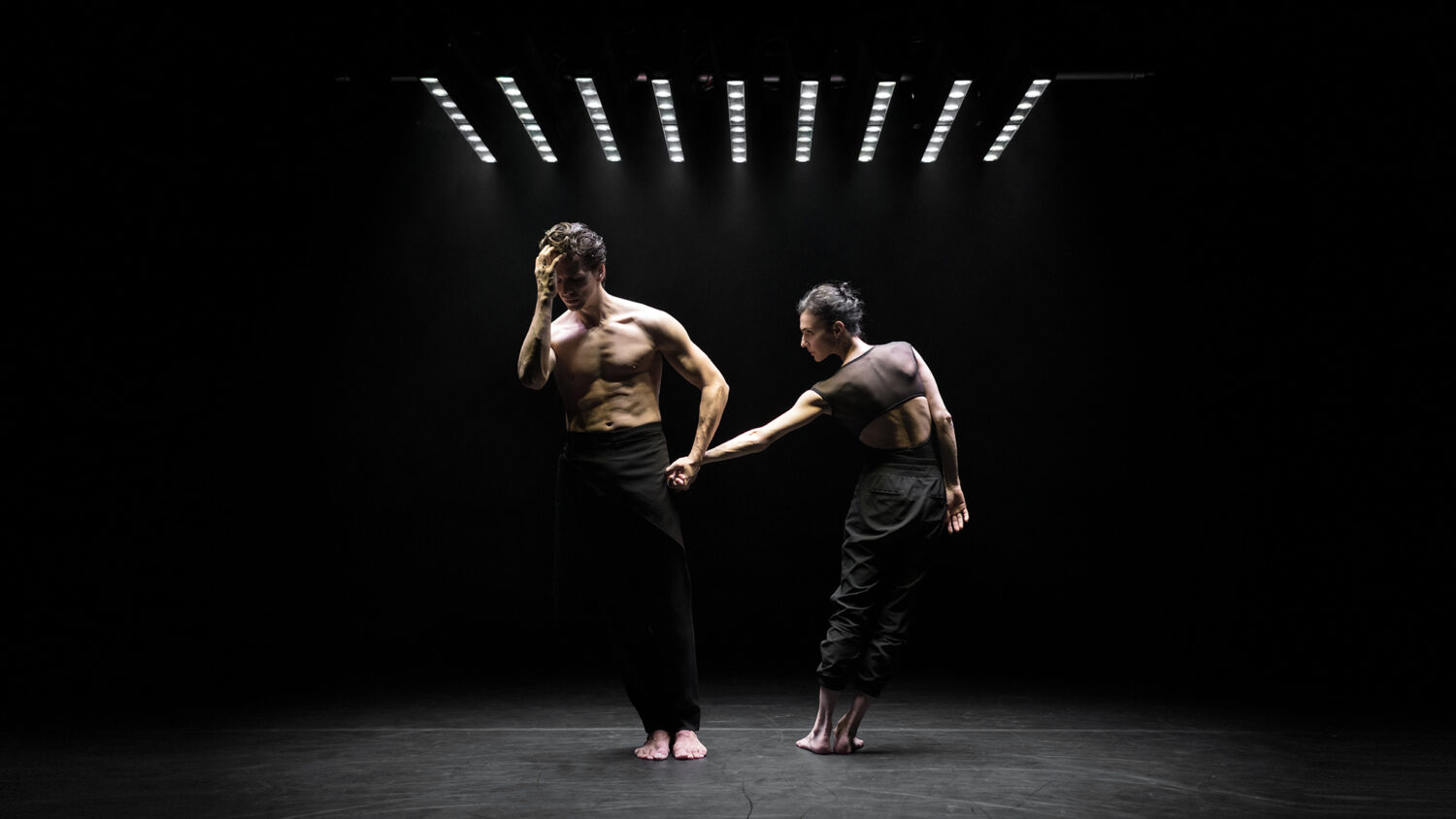 Crypto de Côté Danse